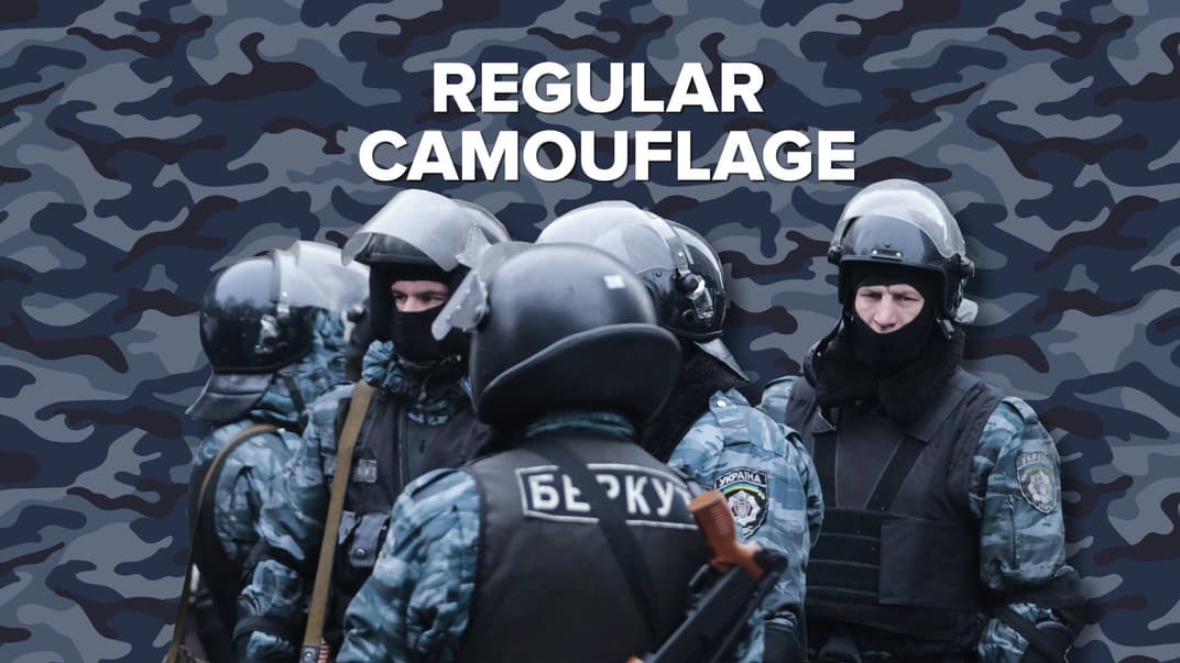 How an Ex-Berkut Officer Tied to Euromaidan Crimes Ended Up in Ukraine ...