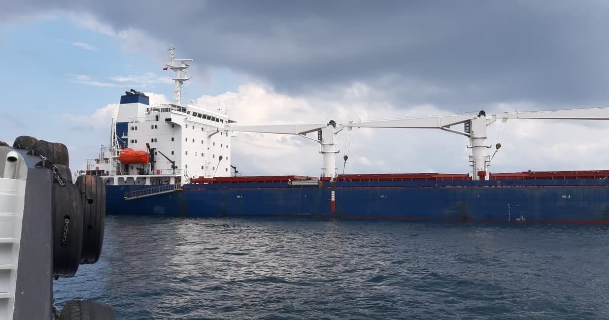 The first vessel with Ukrainian grain passed inspection in Turkey and ...