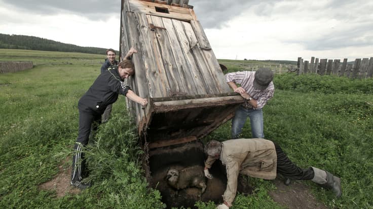 Russia is Struggling with a Shitty Problem. Literally.